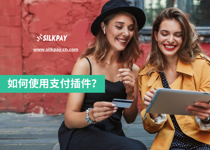 如何使用支付插件？ — Silkpay.cn