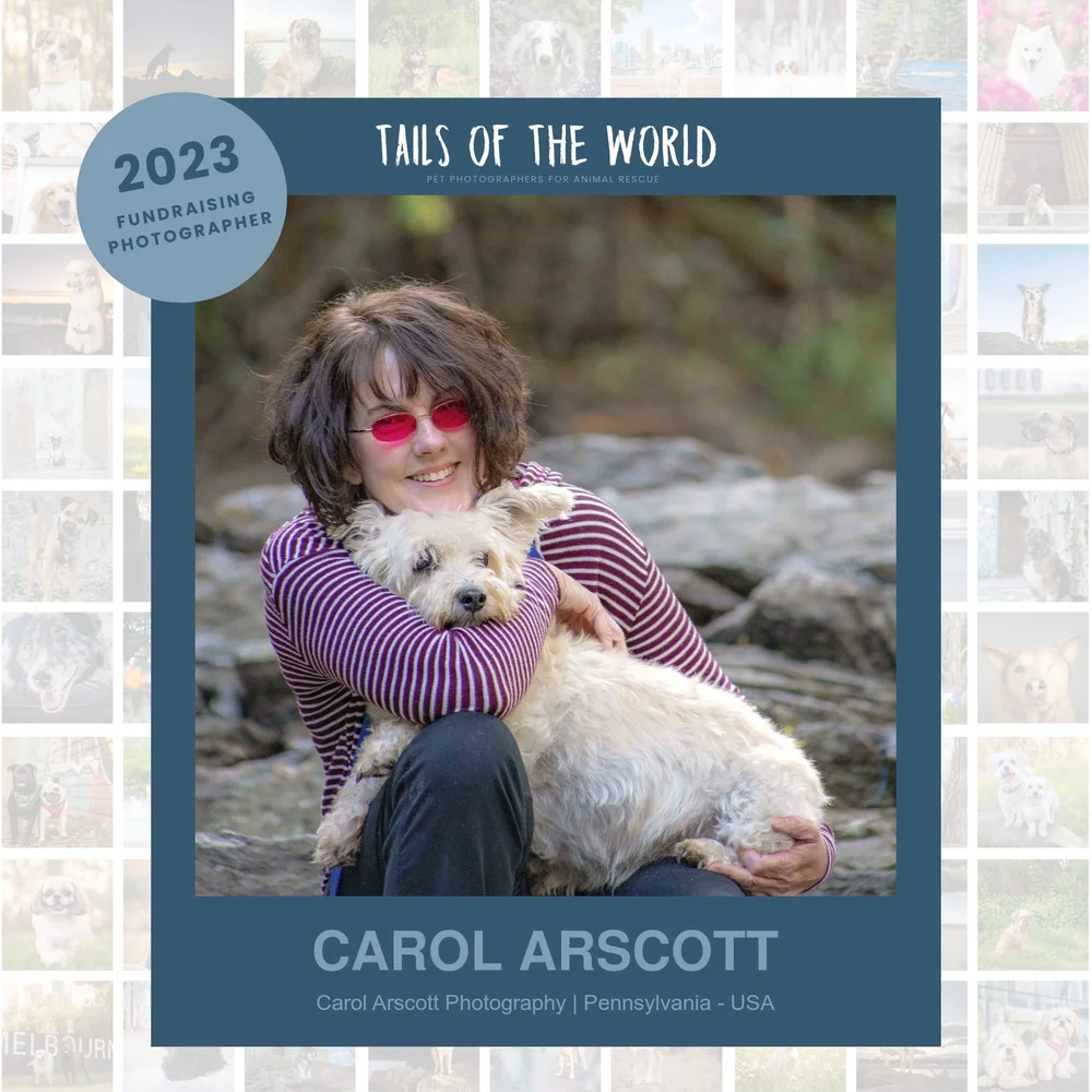 Carol Arscott | Carol Arscott Photography — Tails of the World