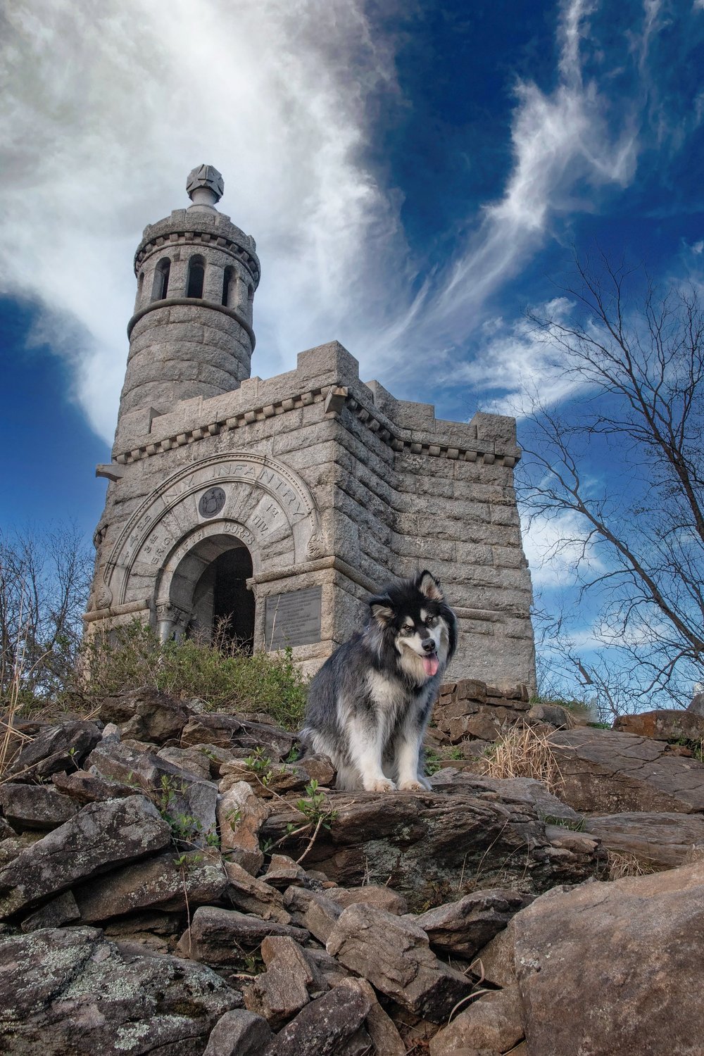 Carol Arscott | Carol Arscott Photography — Tails of the World