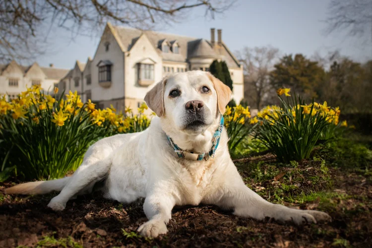 Steph Alexander | Smalls & Talls — Tails of the World