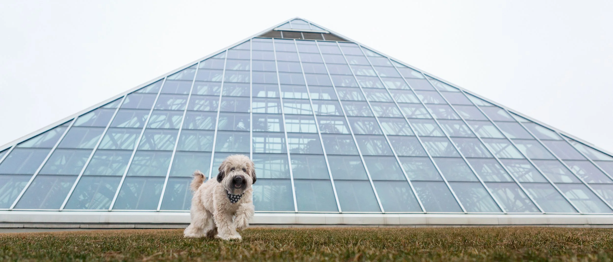 Cassie Thurrott | Cassie Thurrott Photography — Tails of the World