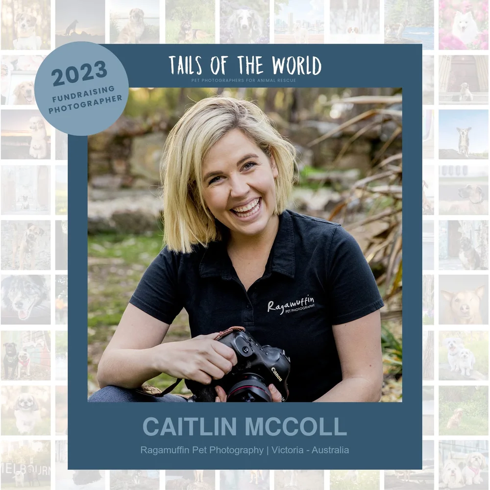 Caitlin J. McColl | Ragamuffin Pet Photography — Tails of the World
