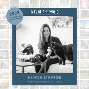 Elena Marchi | Pawtiqe Dog Photography — Tails of the World