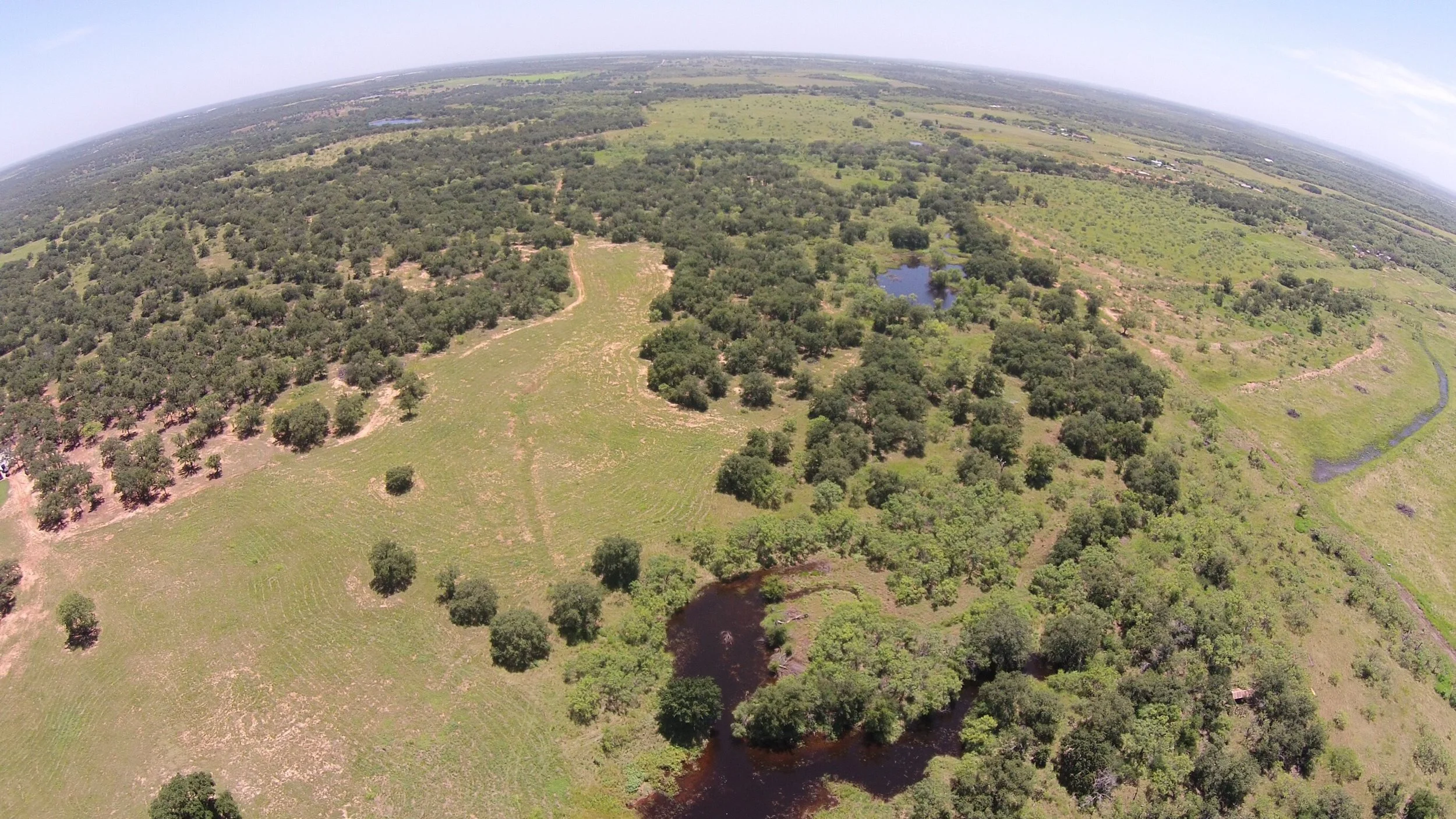 Ash III - Texas Longhorns
