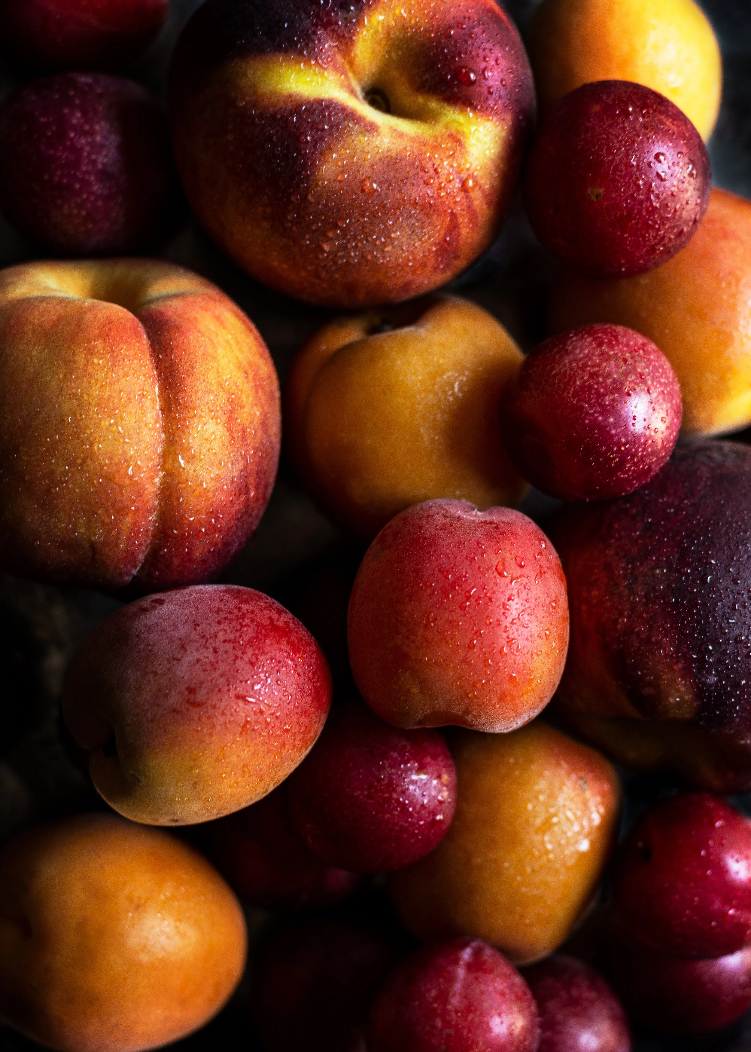 Overview — LAVENDER FLOUR