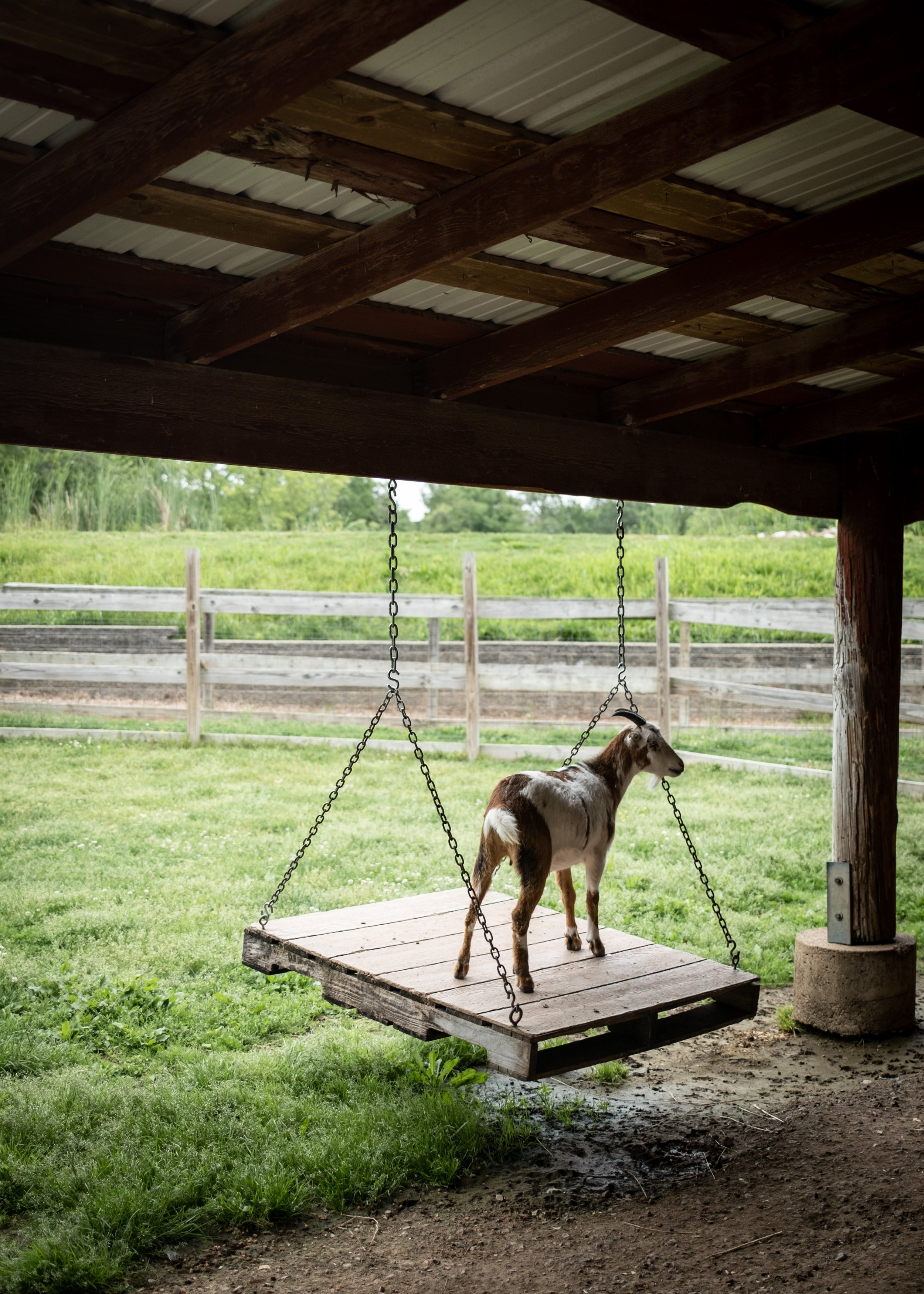 Overview — LAVENDER FLOUR