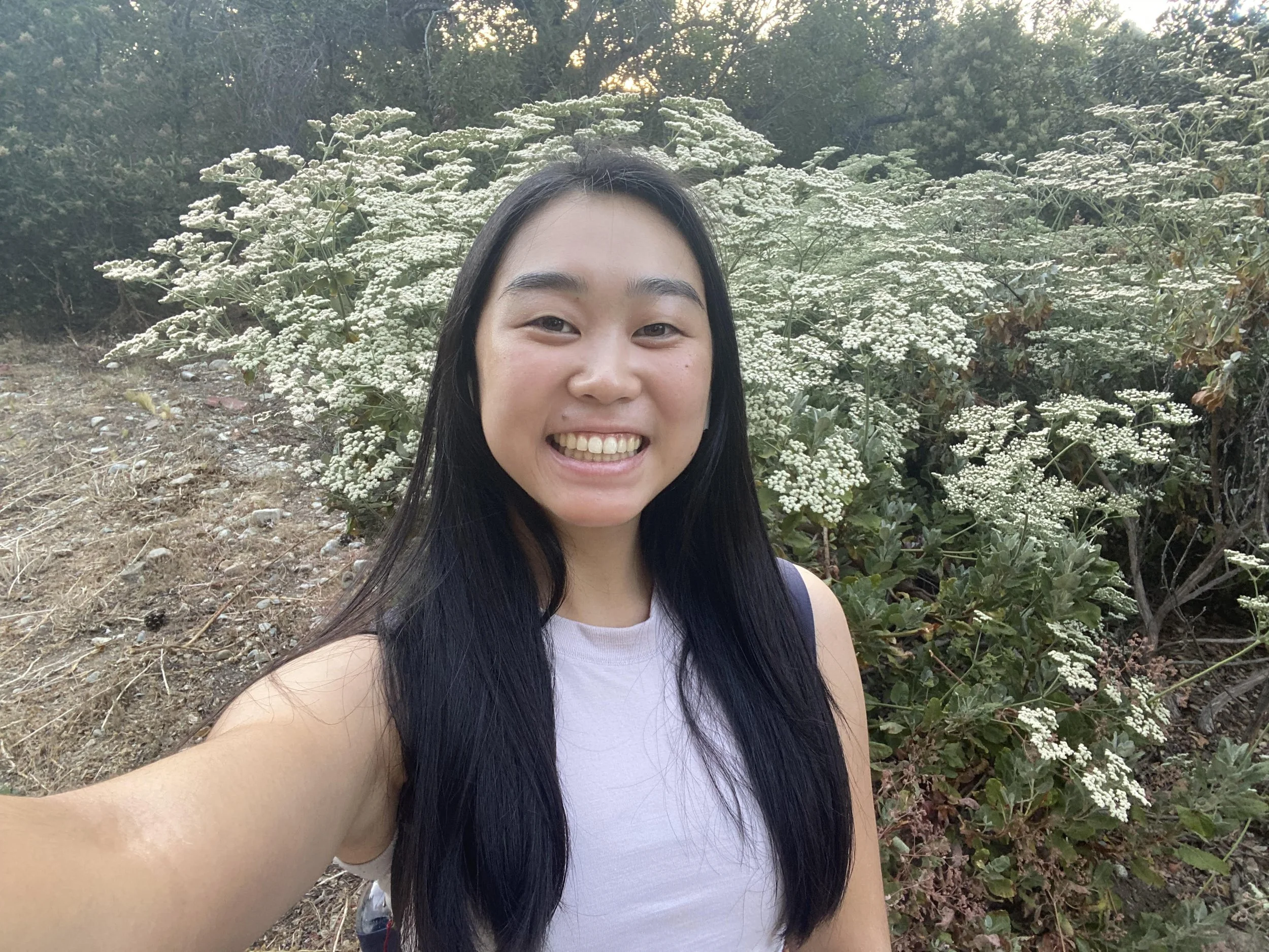 Holly Chen — LAIR @ HMC