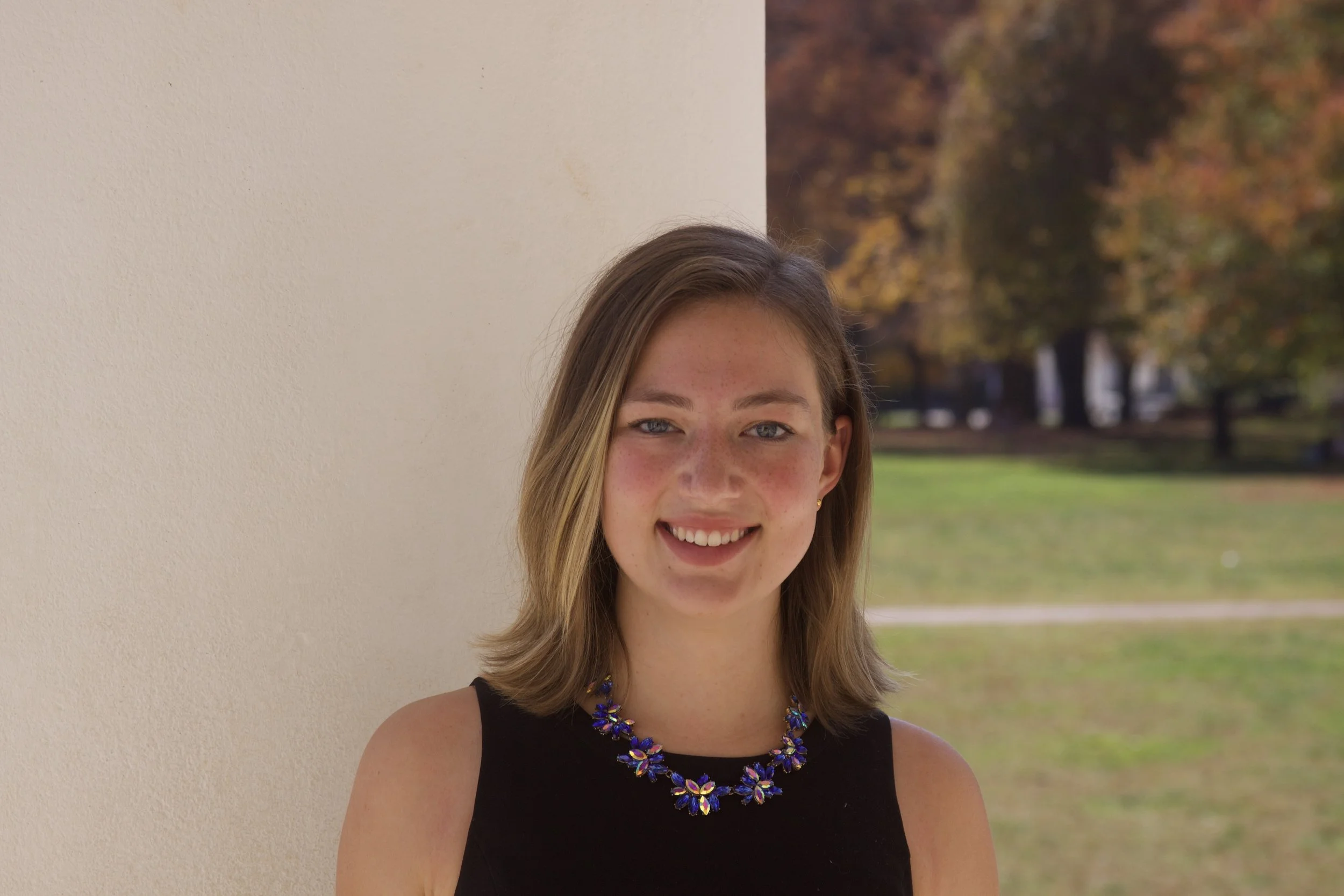 VICS XXVIII Secretariat — 28th Virginia International Crisis Simulation ...