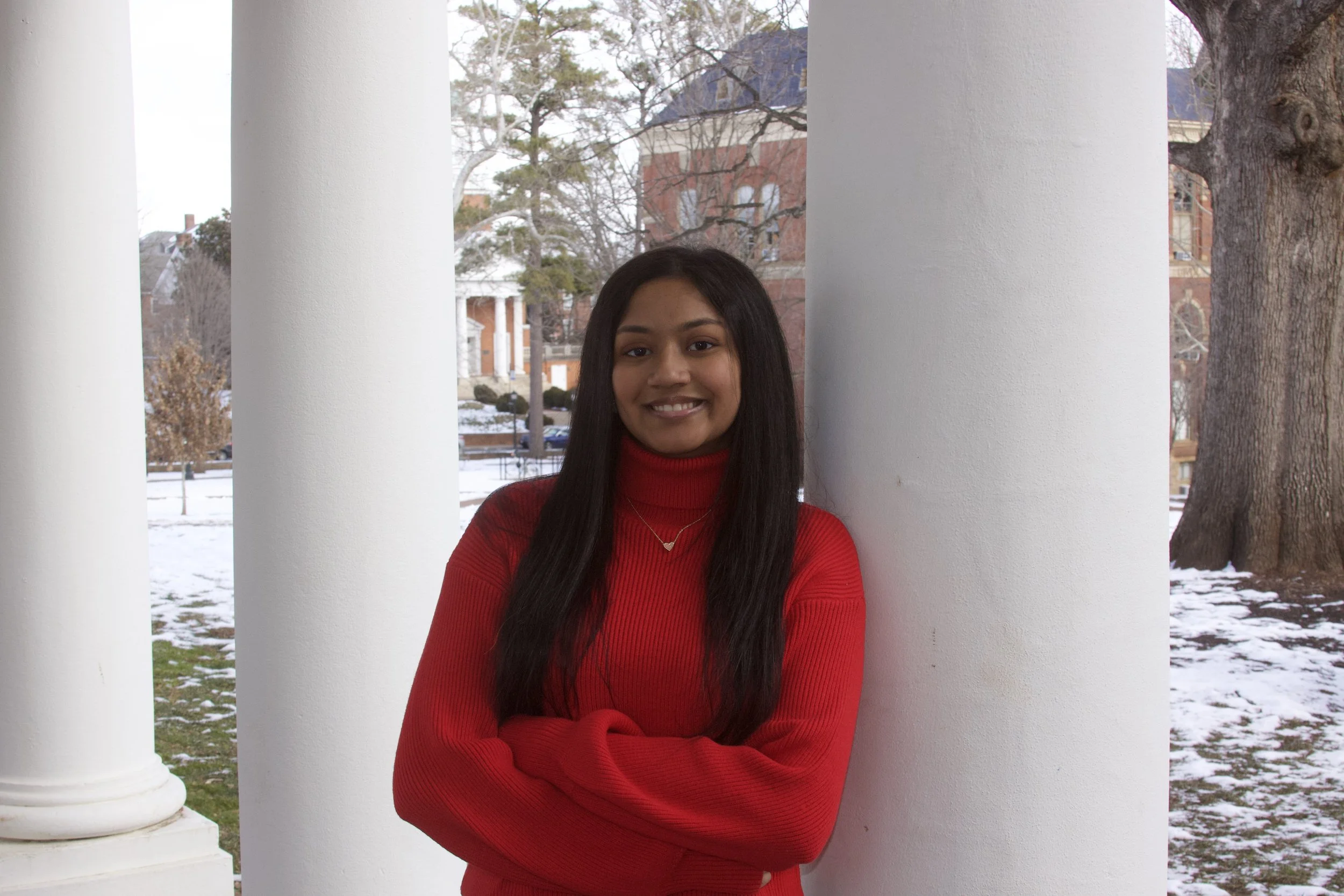 NIH Brain Initiative — 30th Virginia International Crisis Simulation ...