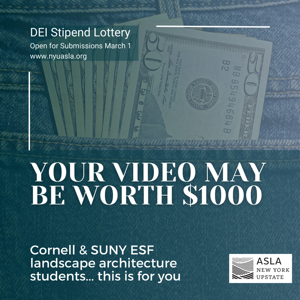DEI Stipend — New York Upstate Chapter of the American Society of ...