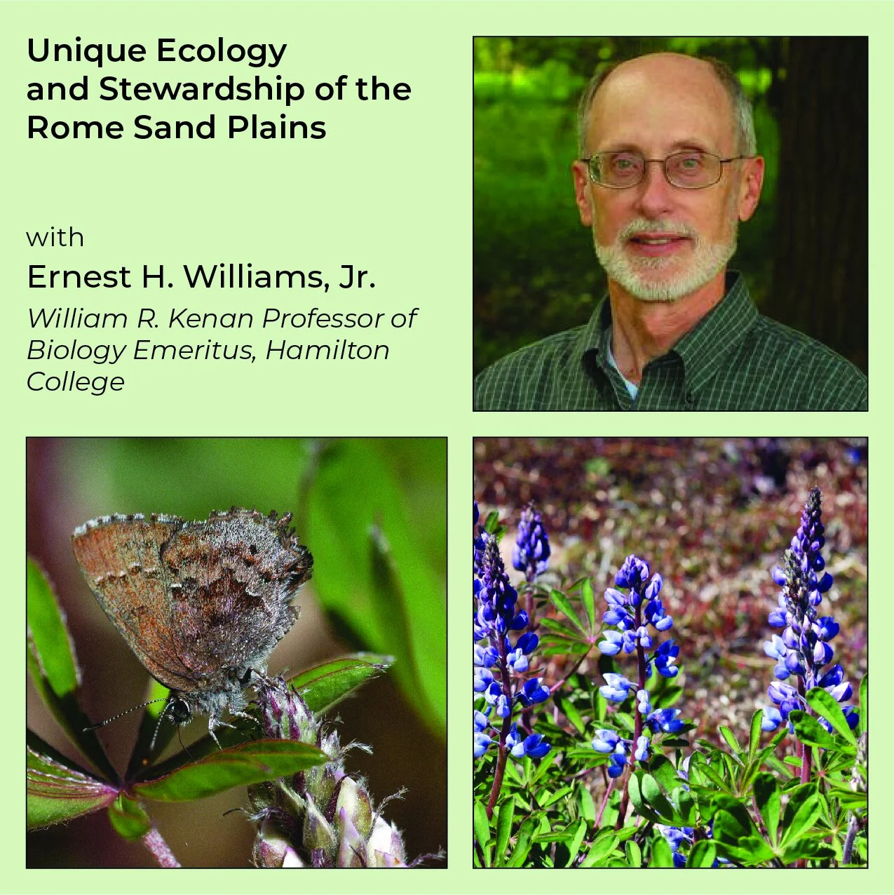 Unique Ecology and Stewardship of the Rome Sand Plains — New York ...