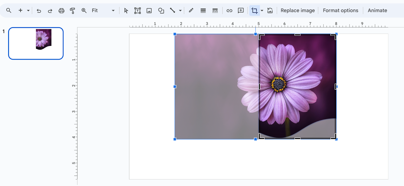 How to create your own custom frames in Canva - AMR Digital Marketing