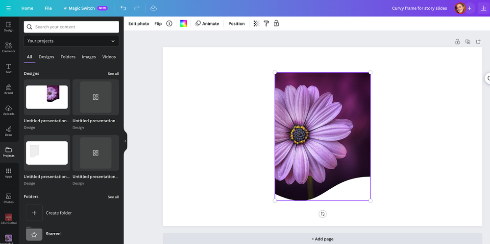 How to create your own custom frames in Canva - AMR Digital Marketing