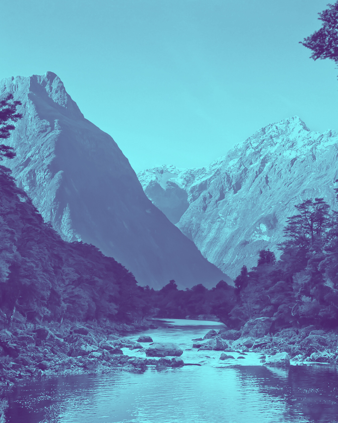 Canva Design Hacks, Tips, Tricks, and Tutorials - AMR Digital Marketing