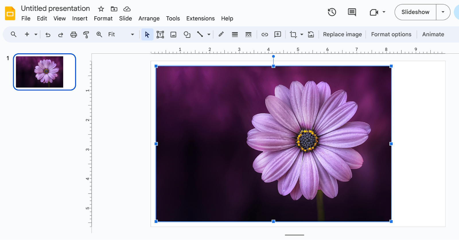 How to create your own custom frames in Canva - AMR Digital Marketing