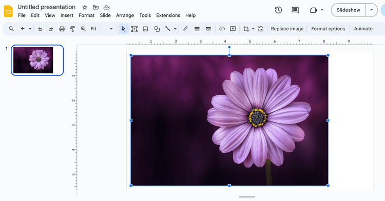 How to create your own custom frames in Canva - AMR Digital Marketing
