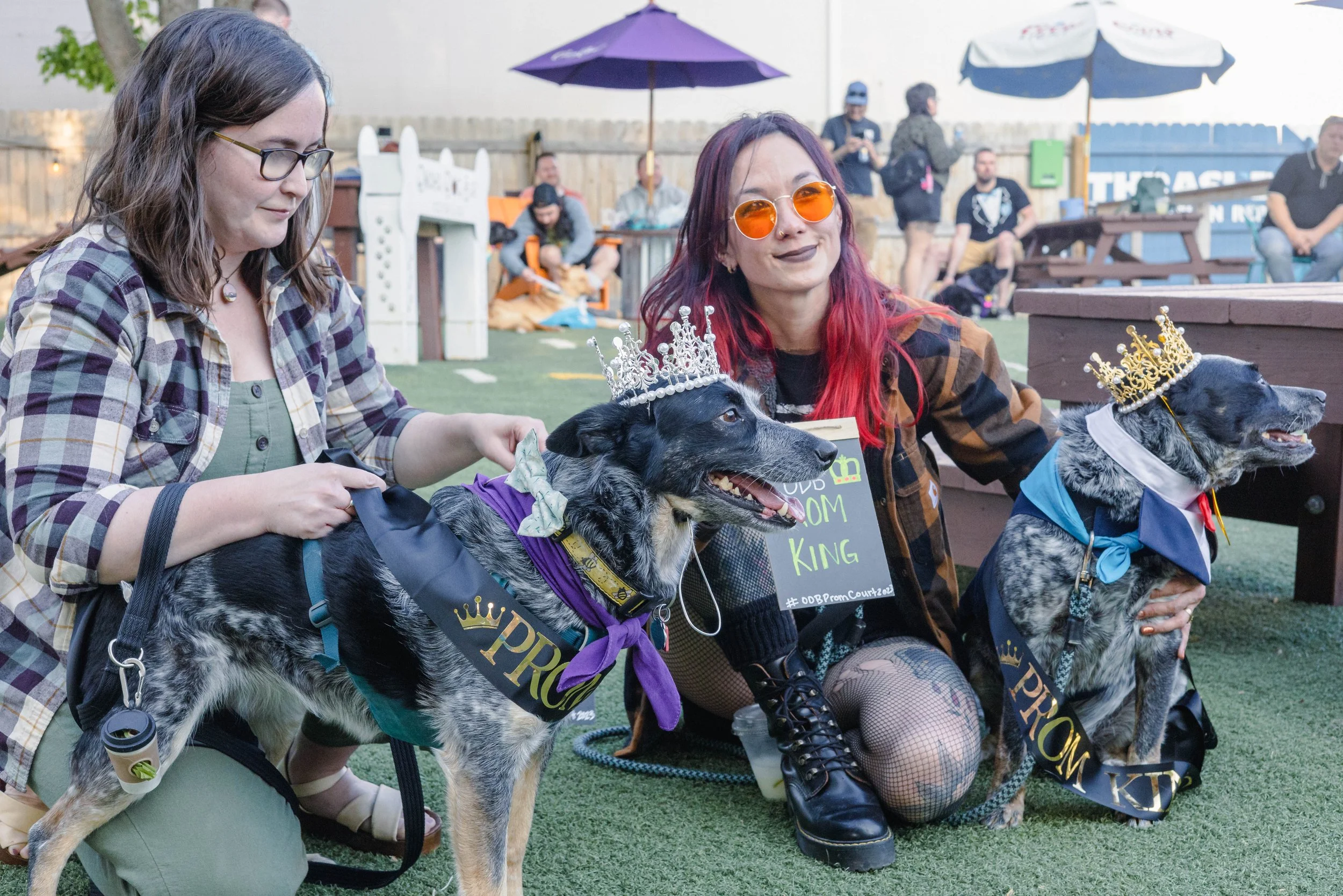 Event Gallery | Omaha Dog Bar
