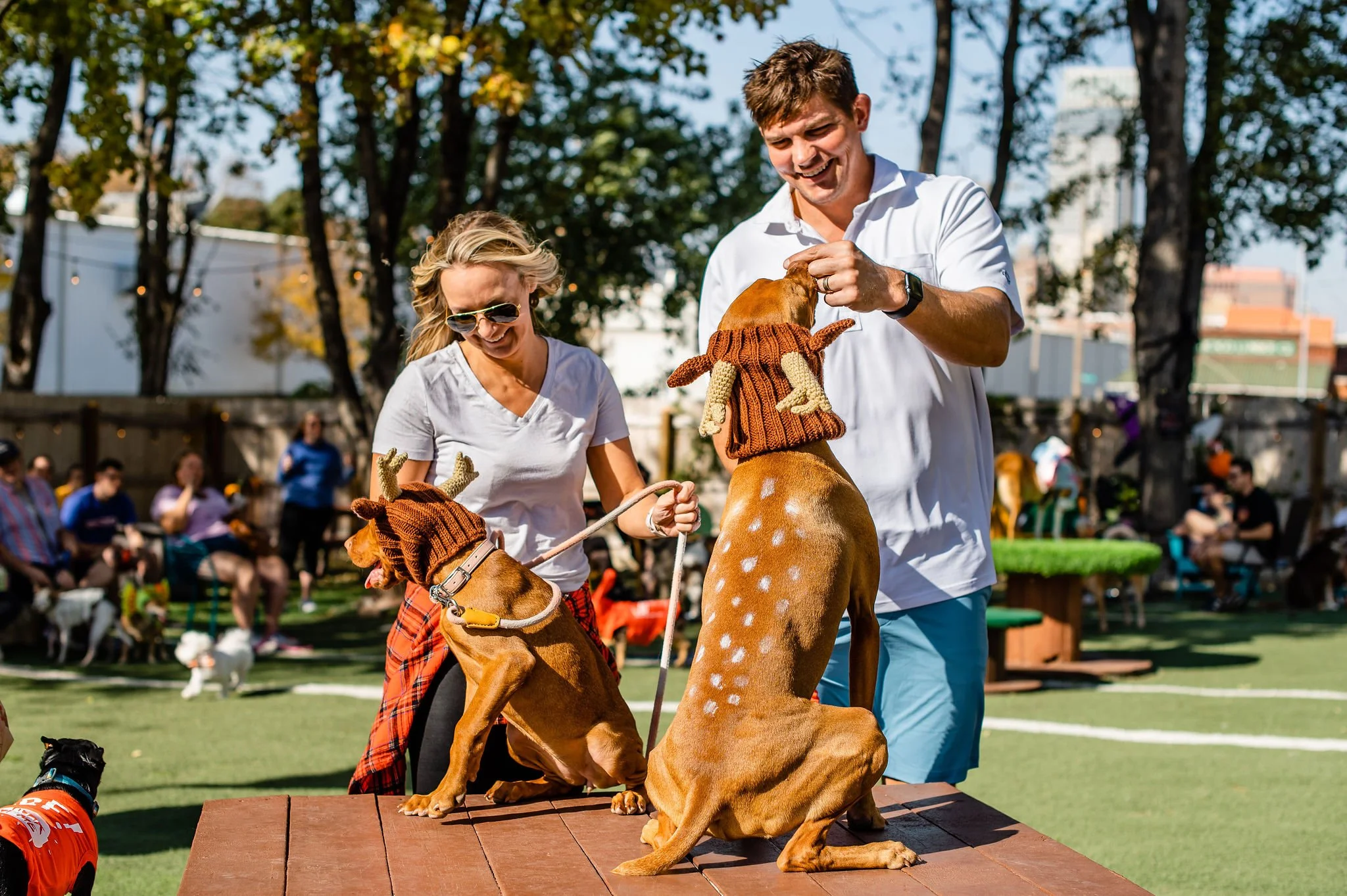 Omaha Dog Bar | A Watering Hole for Dogs & Their People