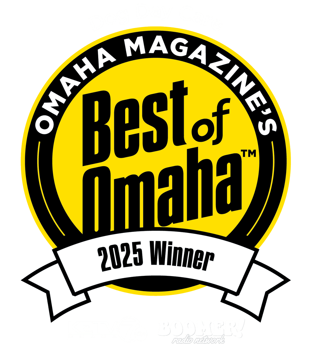 Homemade Dog Food Cooking Class | Omaha Dog Bar
