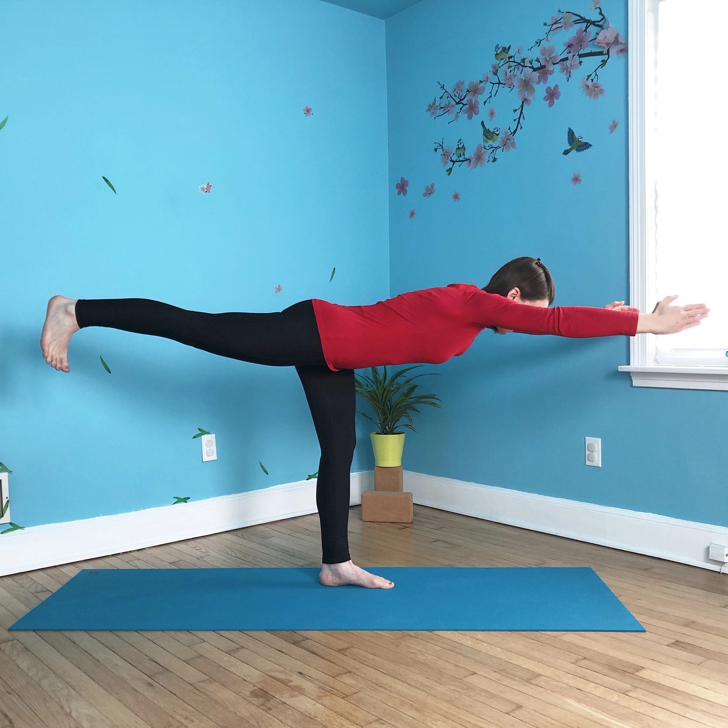 Basics & Guidance — Journey Towards Kindness