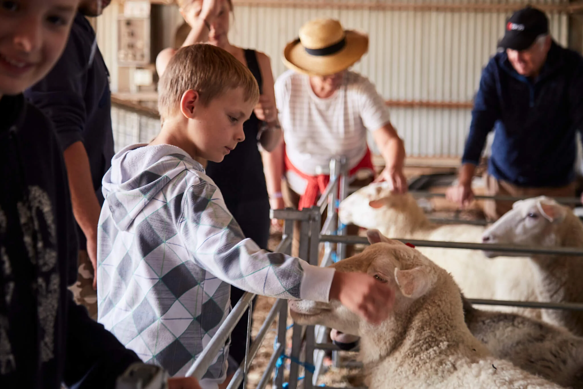 Reconnecting Kiwis with our food & farmers: nationwide open farm day ...