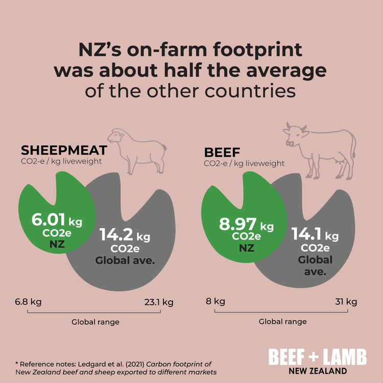 New Zealand beef and lamb among the most carbon efficient in world ...