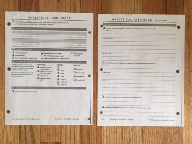 First Year Essentials Management — Writing With Paige