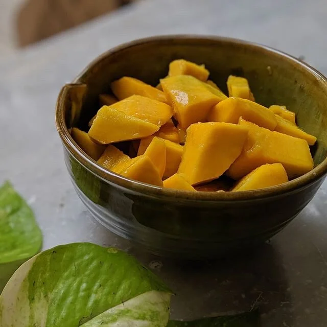 The Great Mango Festival | Hanu Reddy Mango Tourism