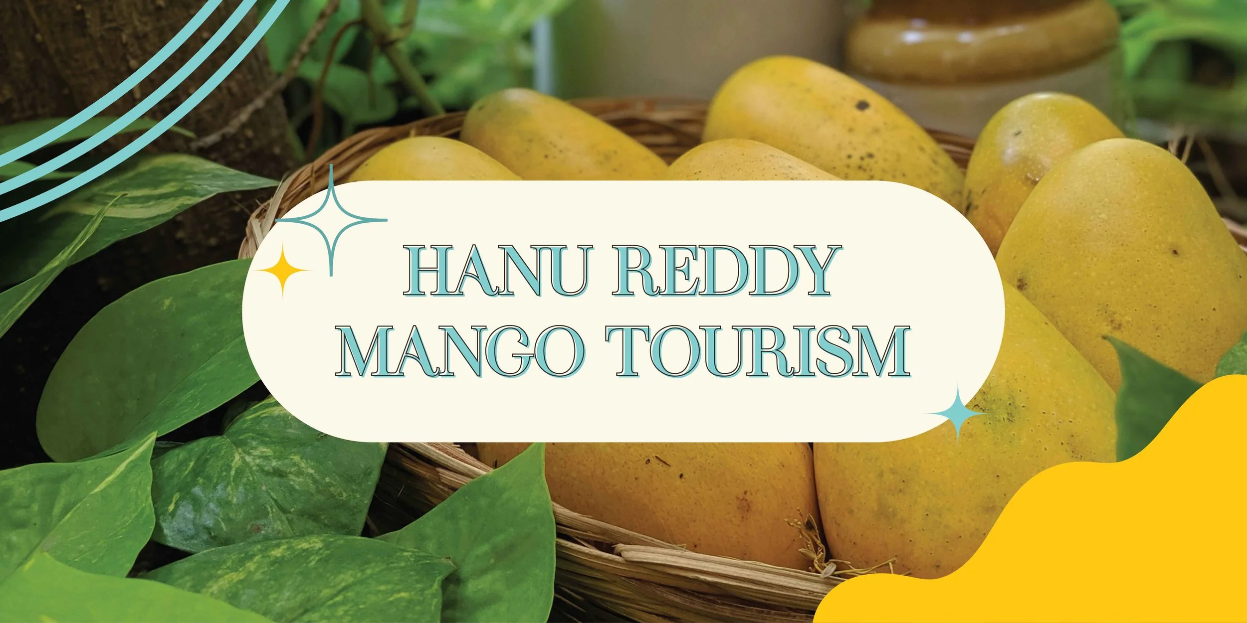 The Great Mango Festival | Hanu Reddy Mango Tourism