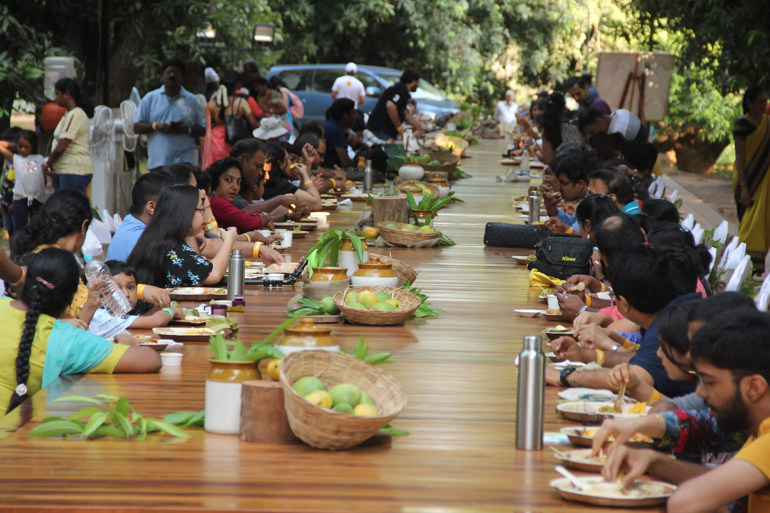 The Great Mango Festival | Hanu Reddy Mango Tourism