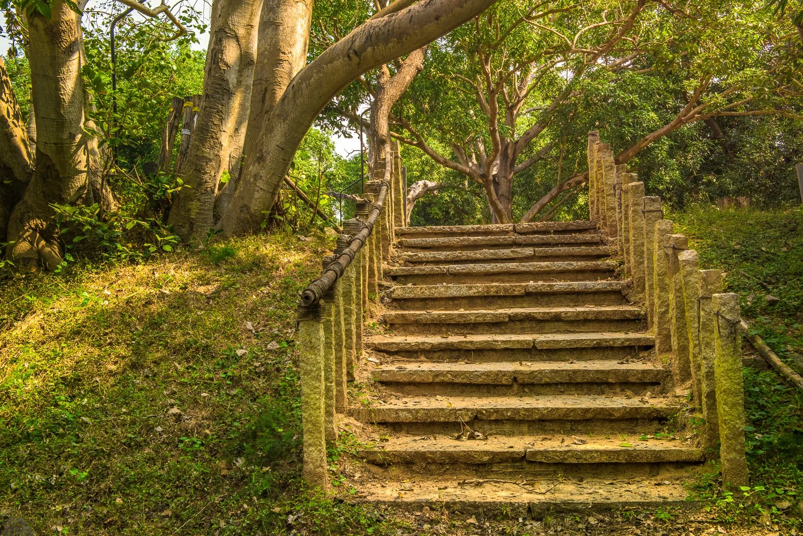 Hanu Reddy Raghava Farms — Hanu Reddy Mango Tourism