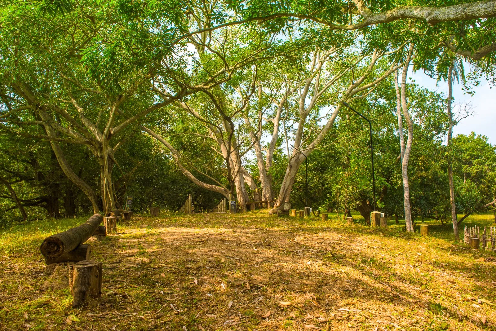 Hanu Reddy Raghava Farms — Hanu Reddy Mango Tourism