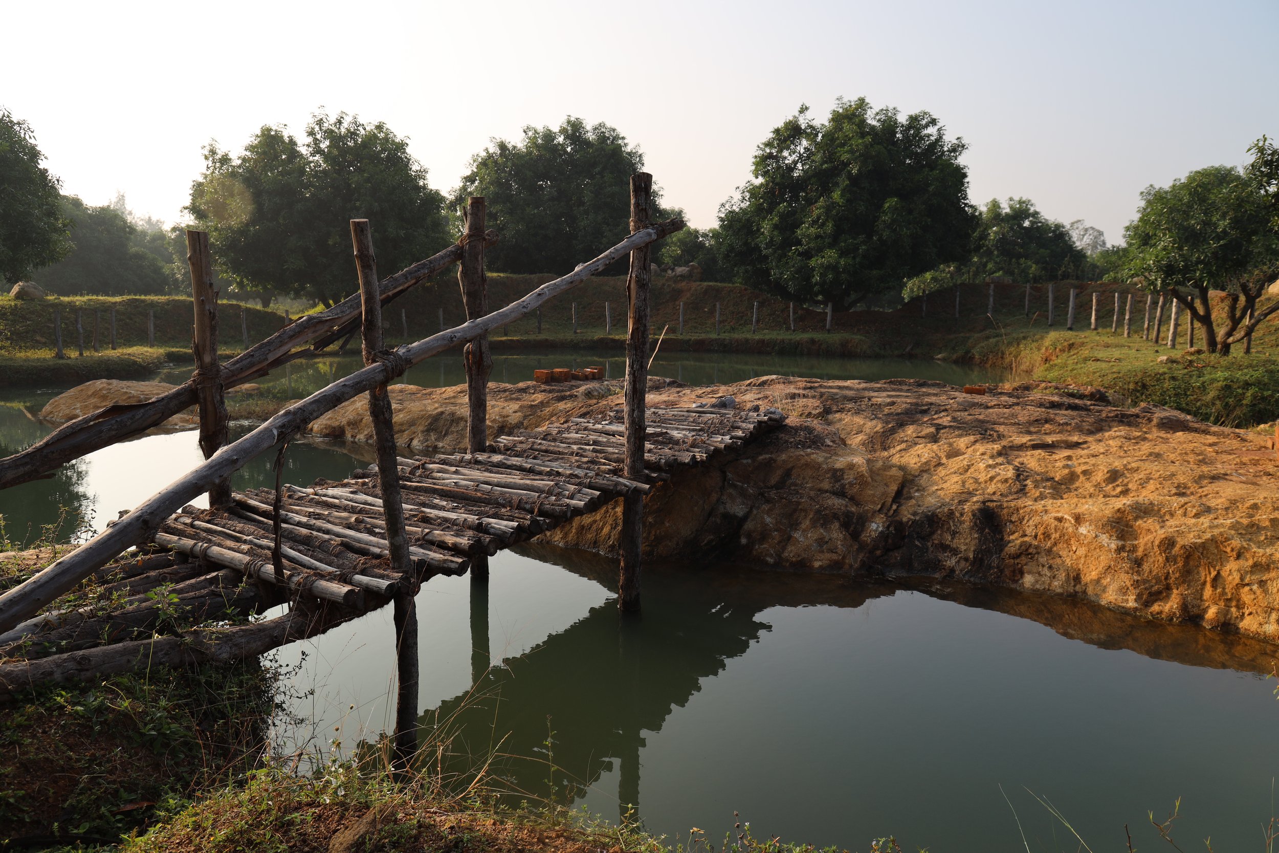 Hanu Reddy Raghava Farms — Hanu Reddy Mango Tourism