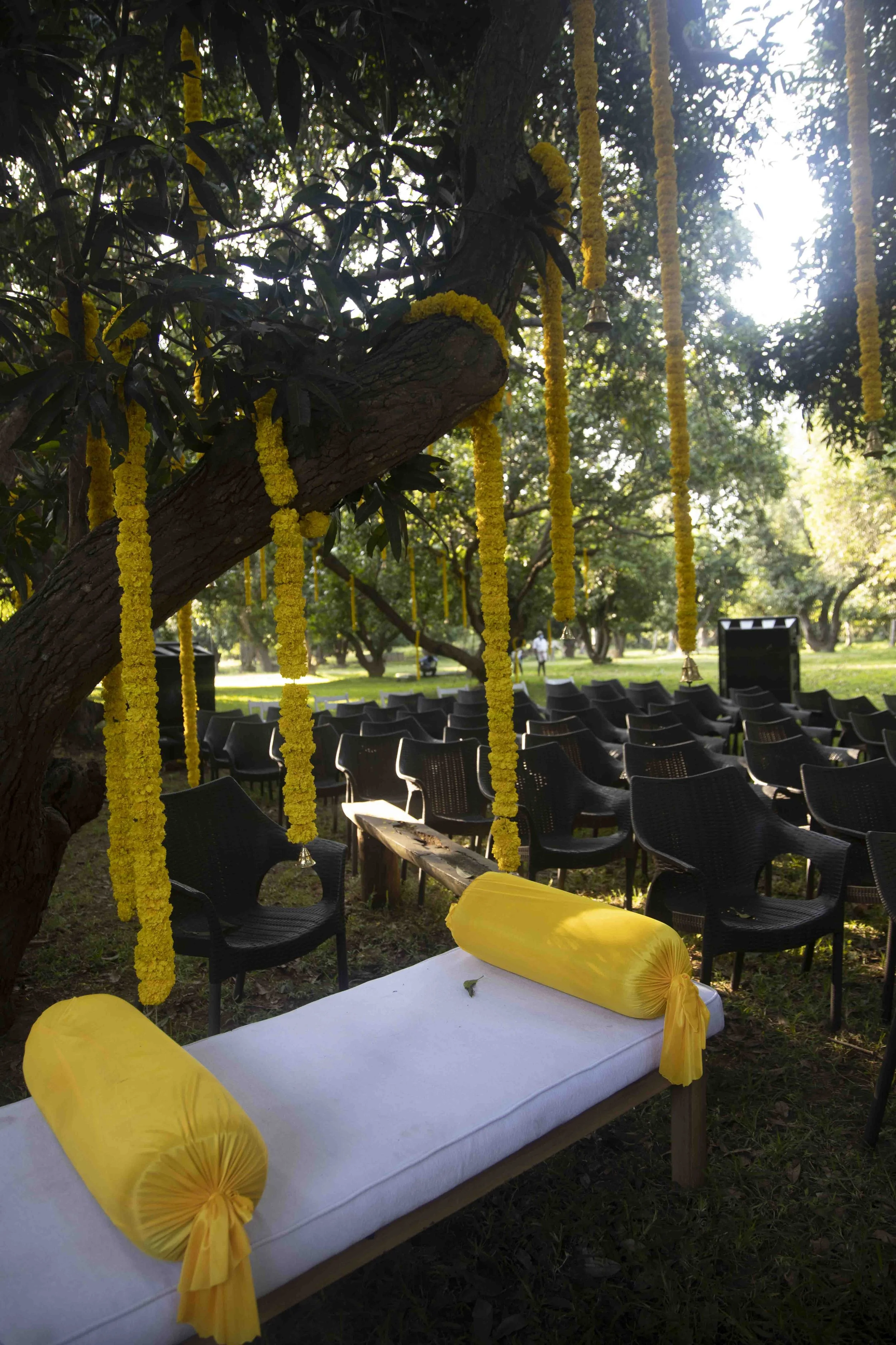 Hanu Reddy Raghava Farms — Hanu Reddy Mango Tourism