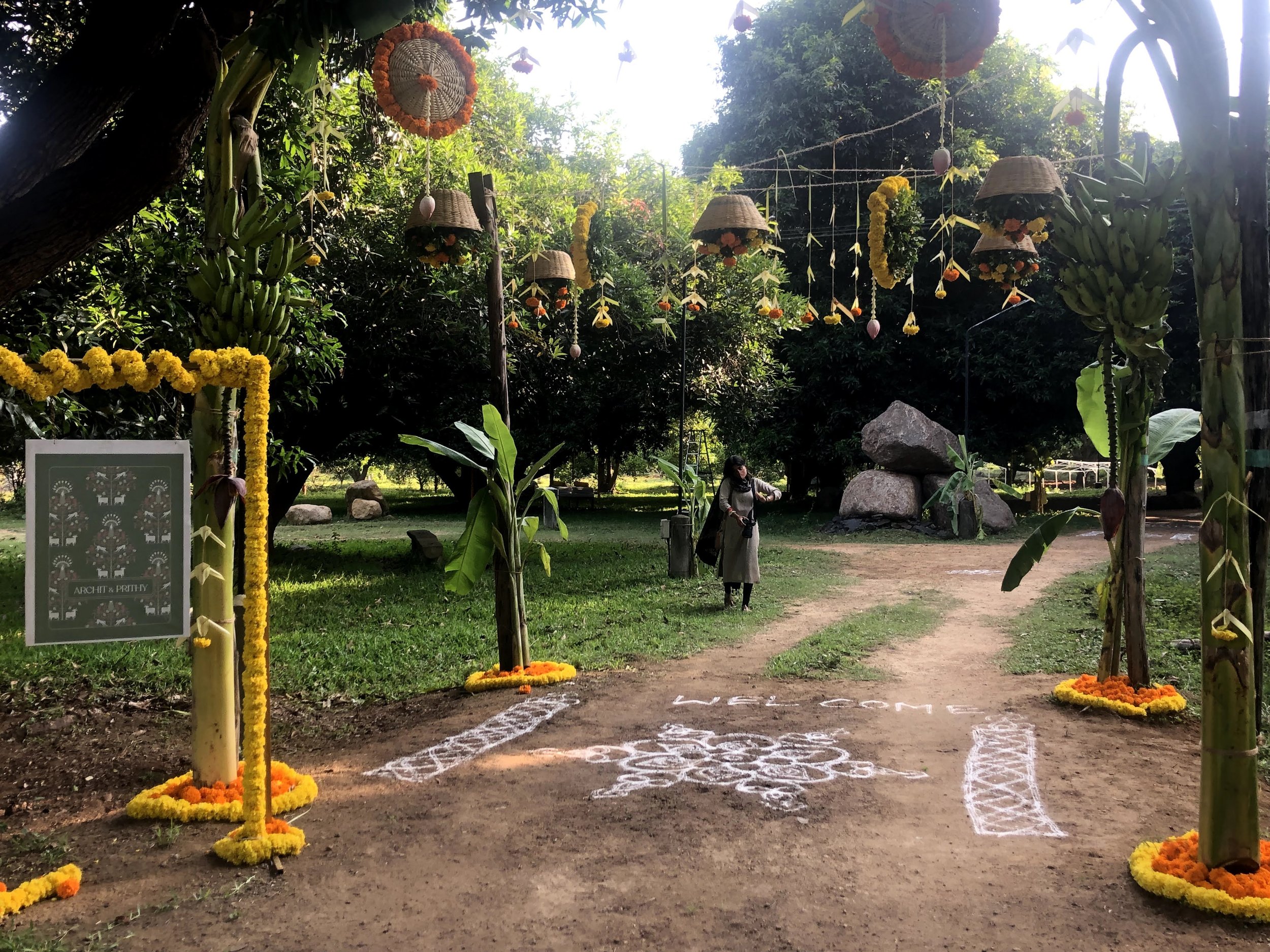 Hanu Reddy Raghava Farms — Hanu Reddy Mango Tourism