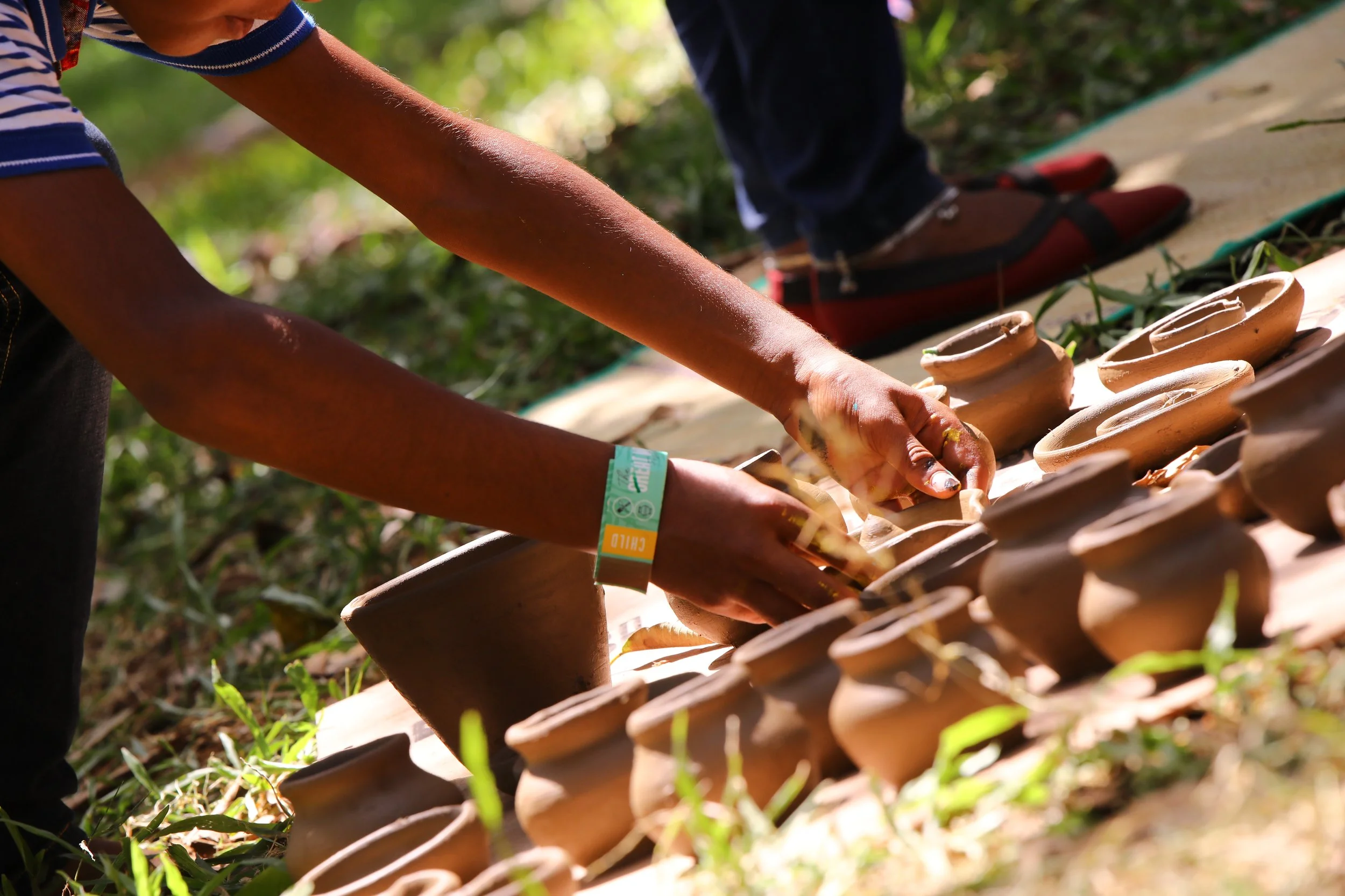 The Great Mango Festival | Hanu Reddy Mango Tourism
