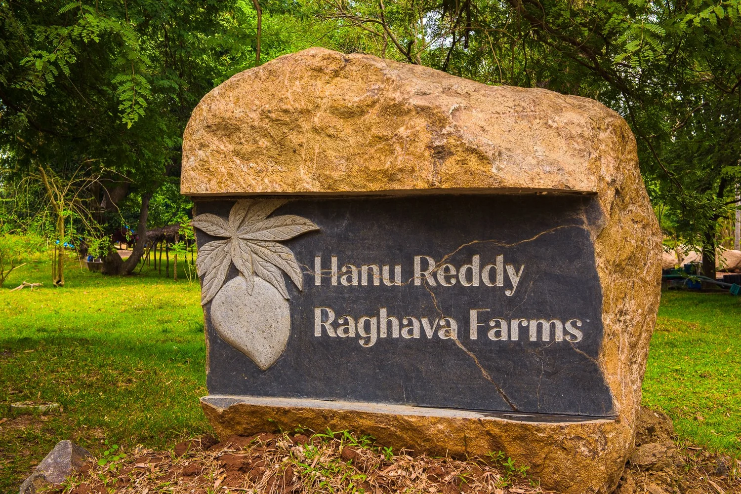 The Farm — Hanu Reddy Mango Tourism
