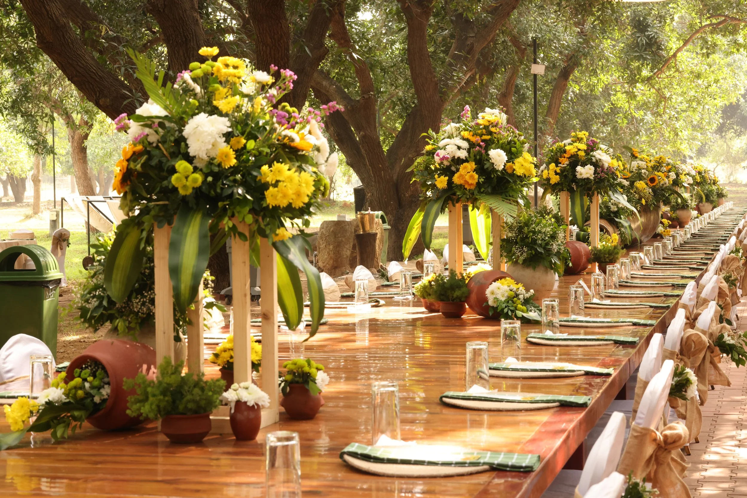 Hanu's Table — Hanu Reddy Mango Tourism