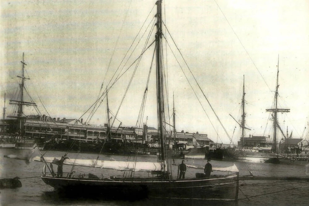 Zephyr 1873 — F.J.Darley