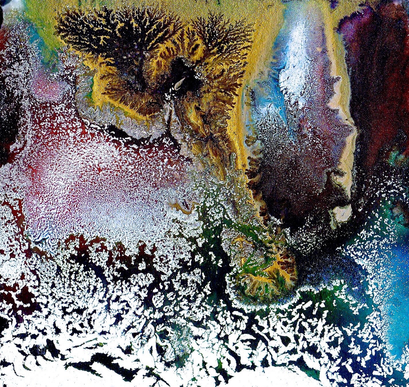 Visual Medicine - A Radically Transformative Creative Practice