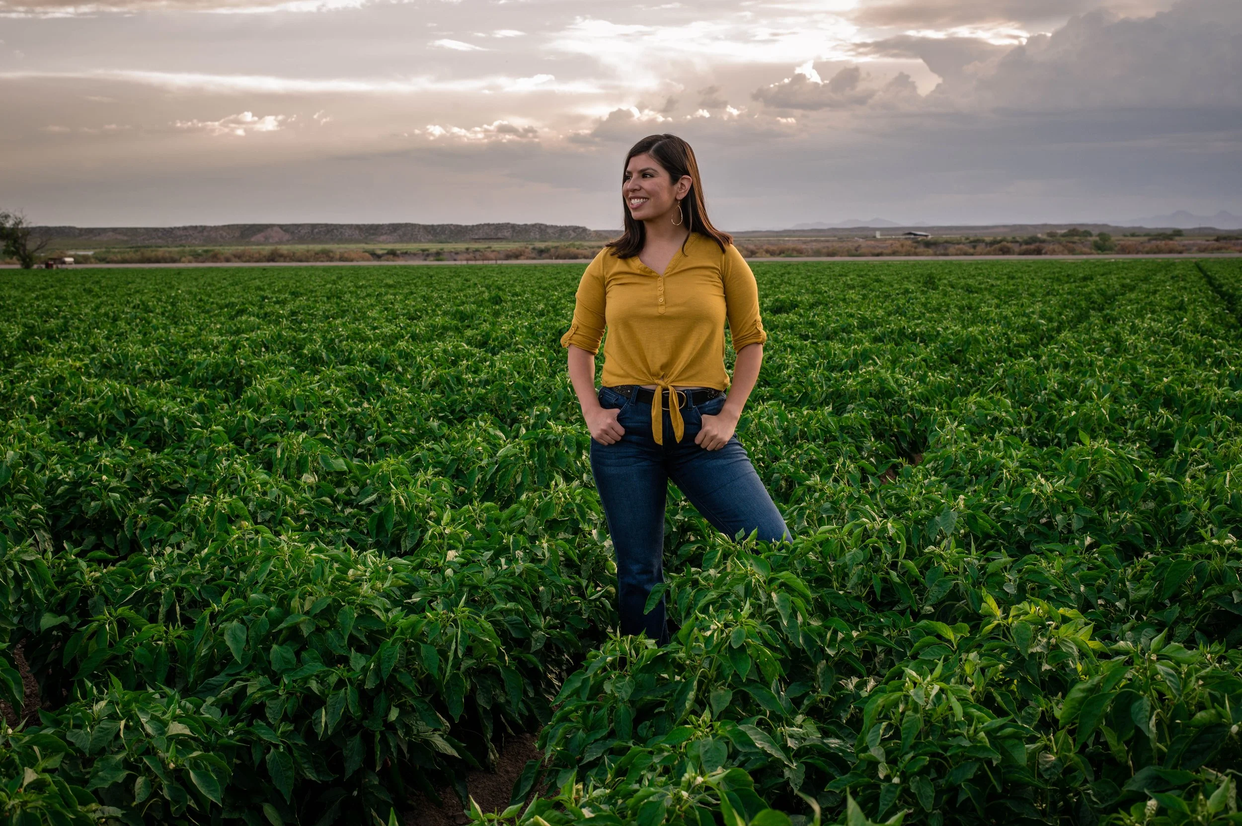 WHAT'S COOKING — LA REINA CHILE COMPANY