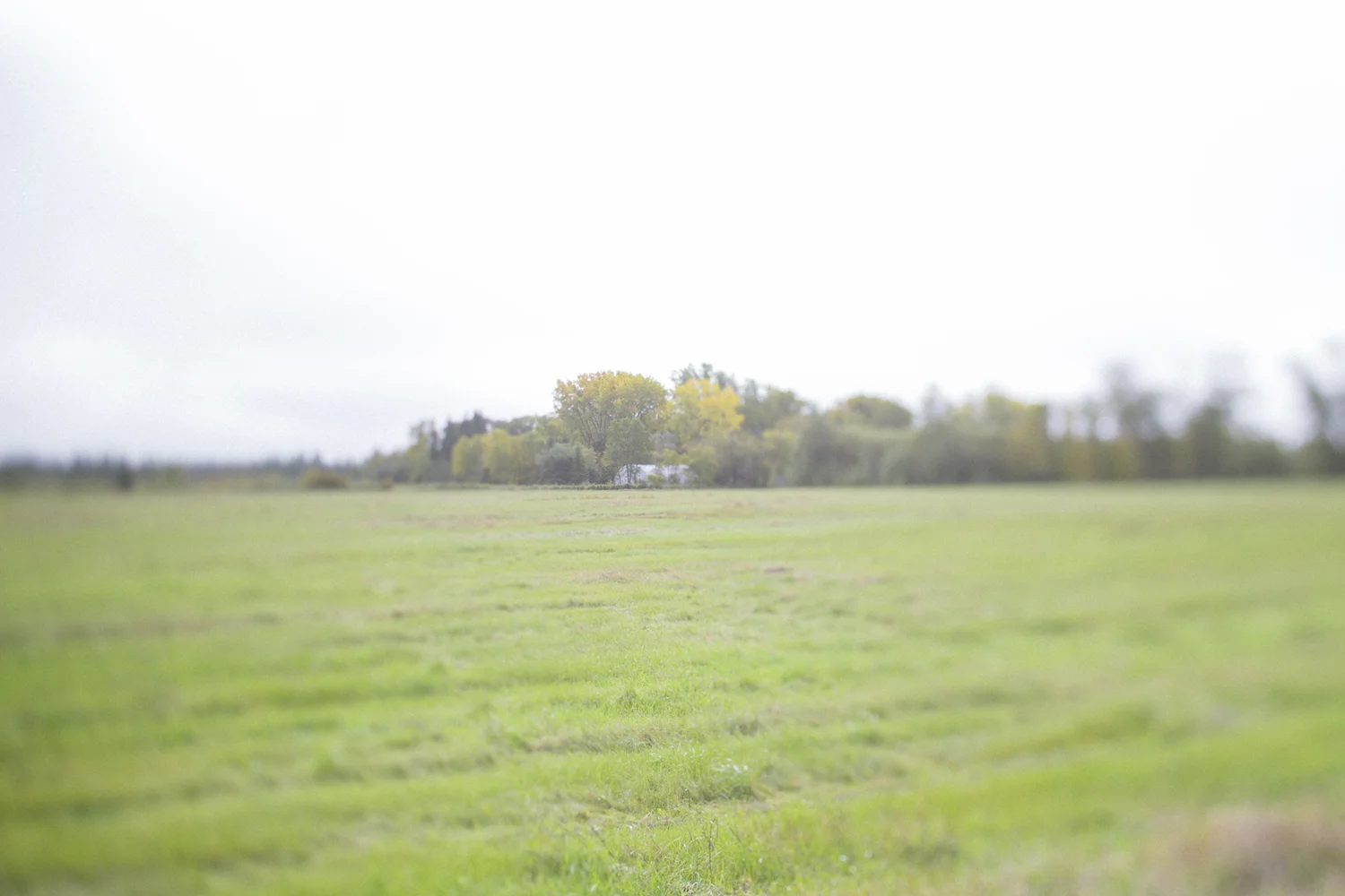 Farm — Oak Knoll Farm