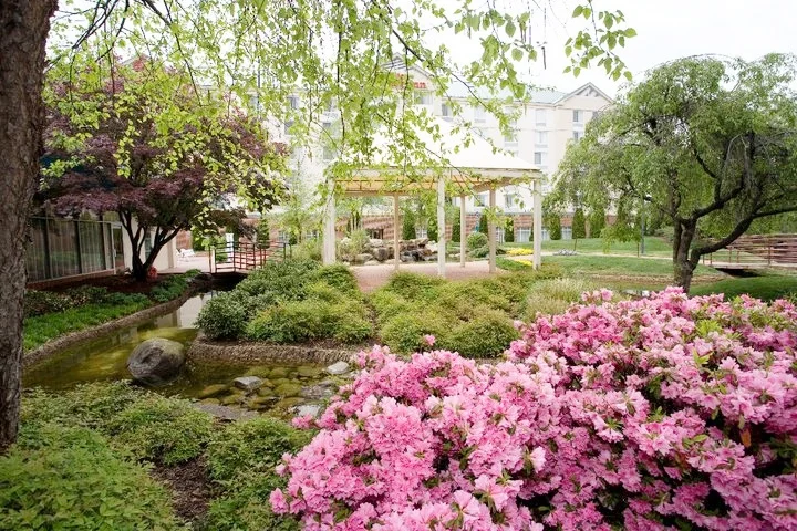 The Place at Innsbrook