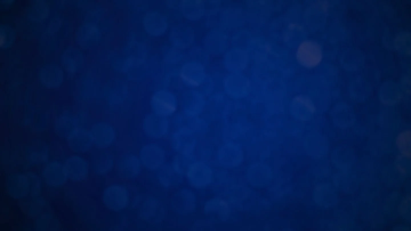 Your Trans Family — Lavender Rights Project