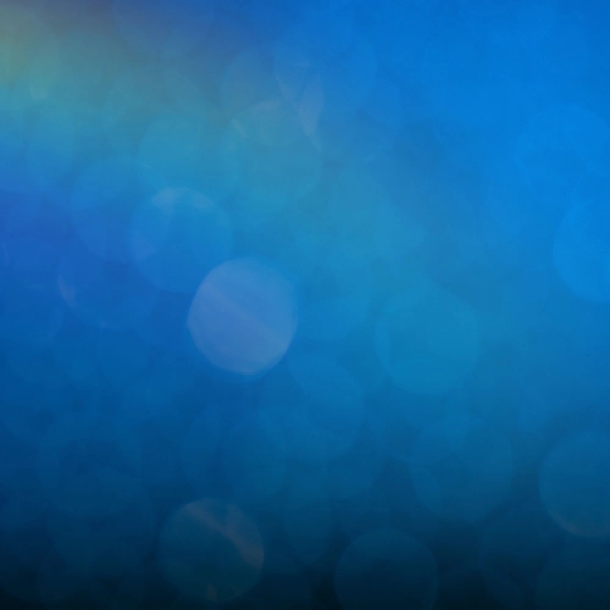 Housing Justice — Lavender Rights Project