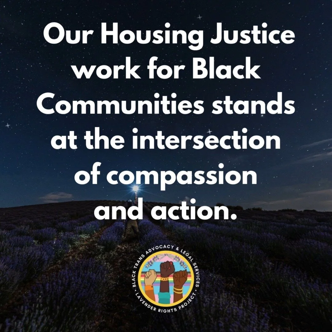 Lavender Rights Project