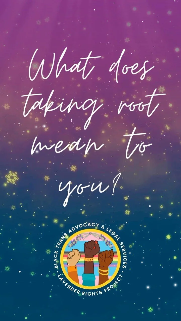 Lavender Rights Project