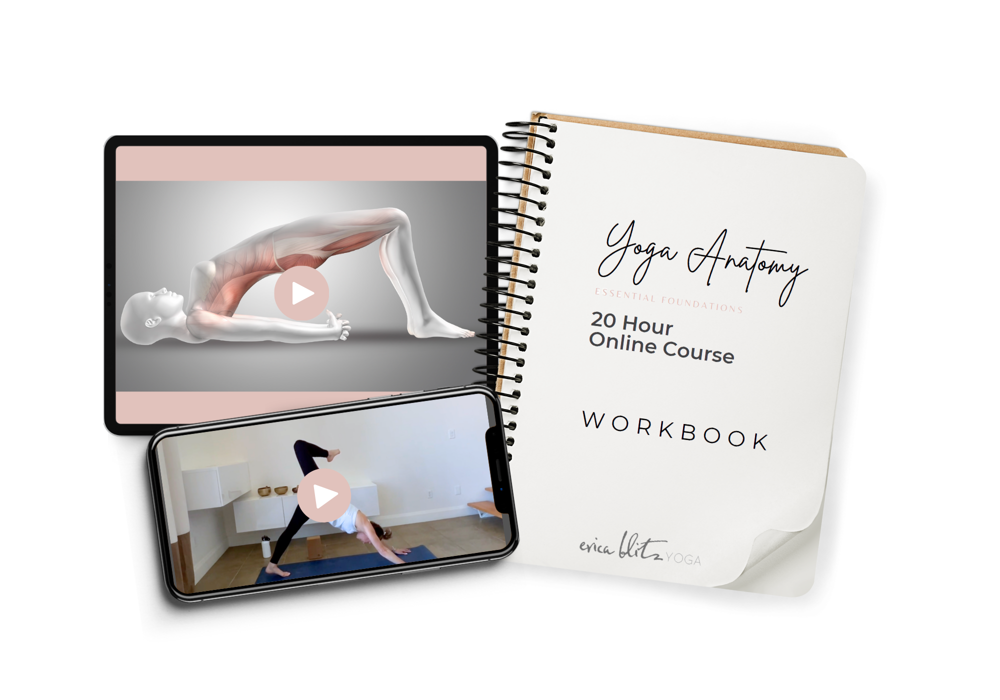 Online Anatomy Course — Erica Blitz Yoga