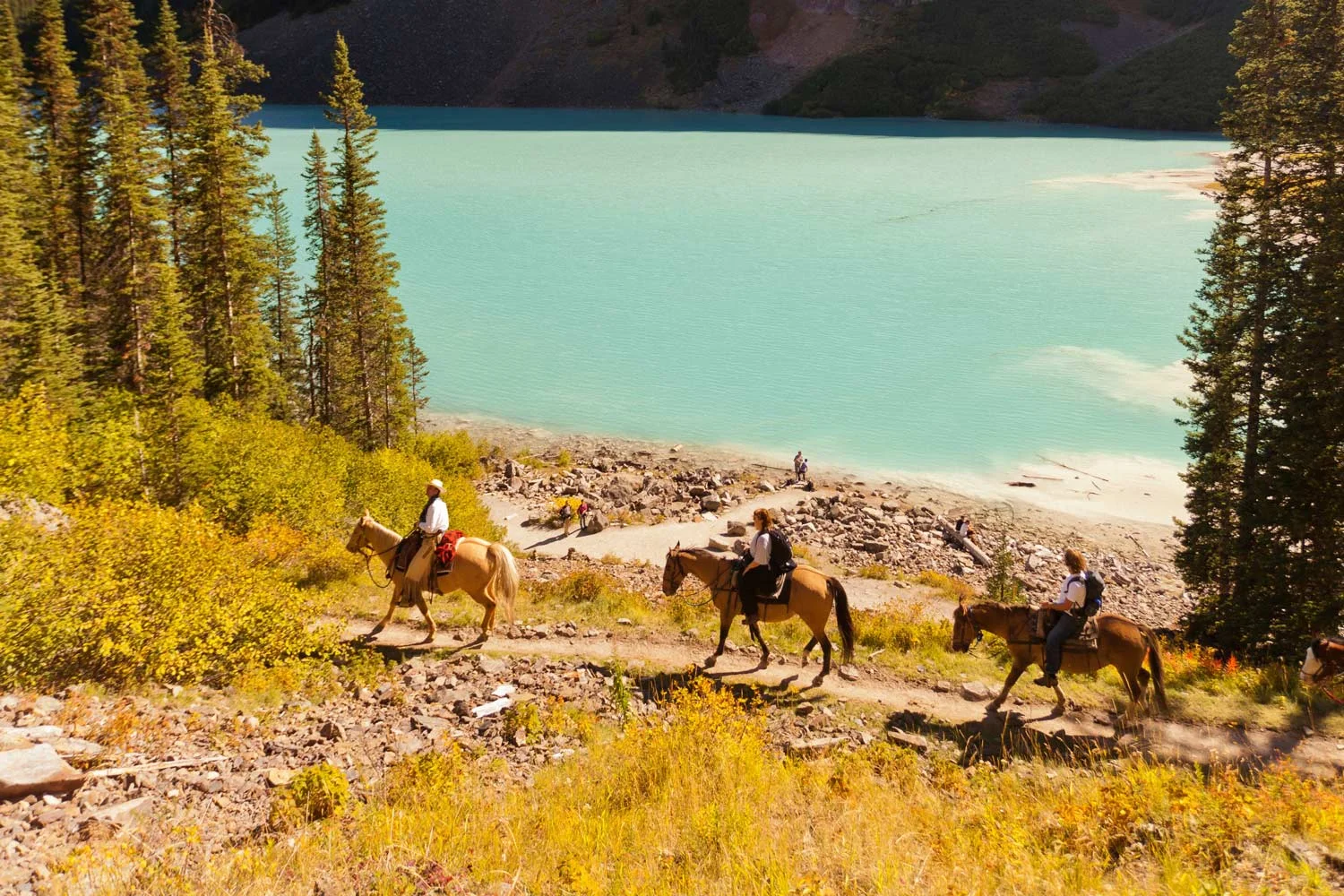 Summer Trail Rides — Brewster Adventures