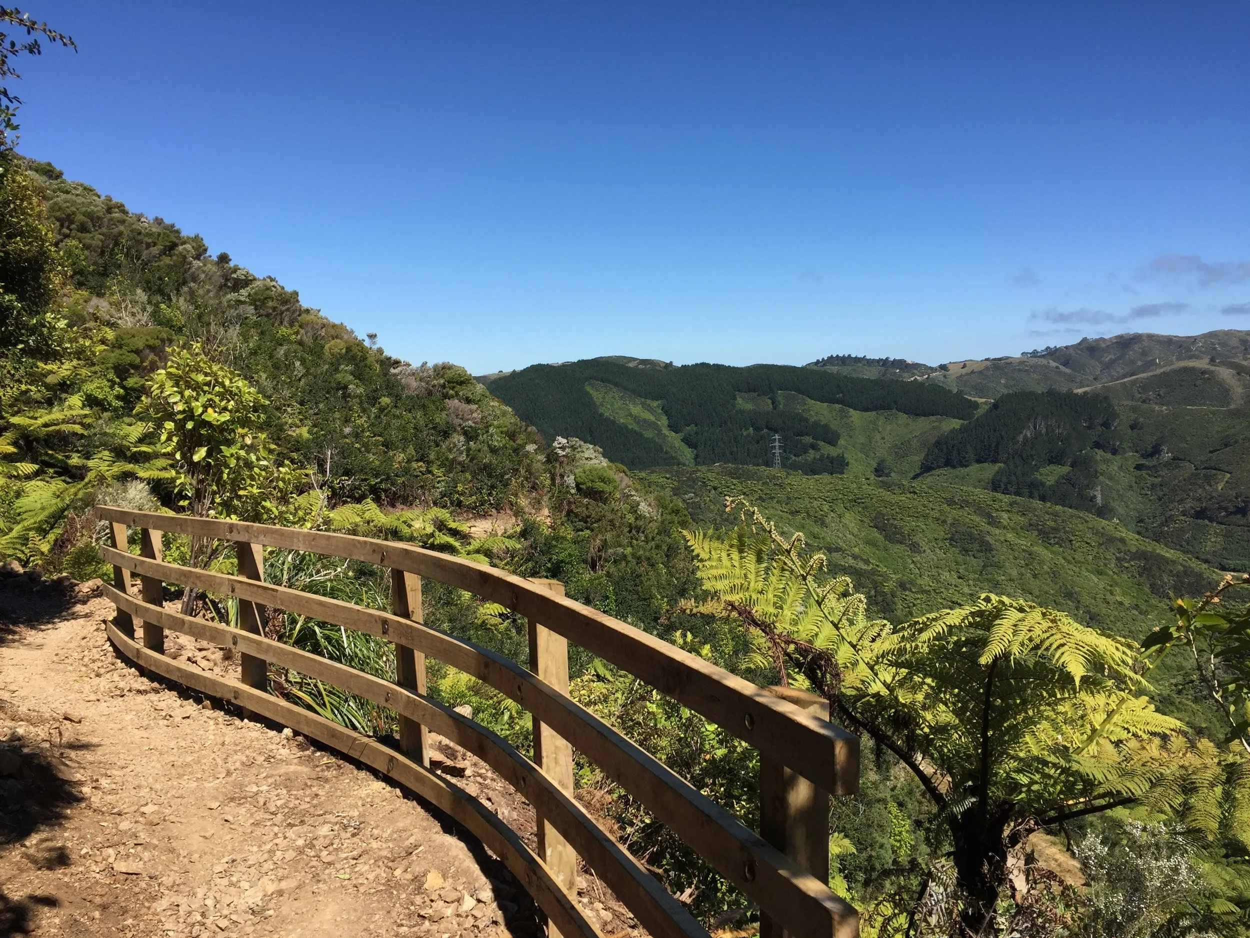 Maps and signs — Makara Peak Mountain Bike Park